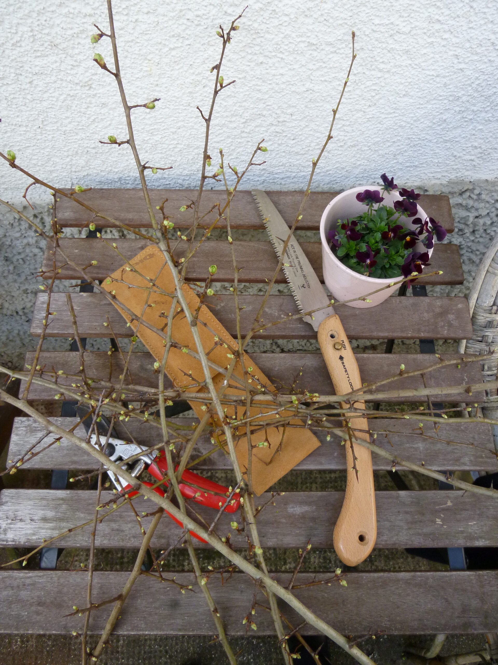 Guide to Basic Pruning Tools for Home Gardeners - Grit